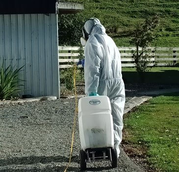 Spider Proofing | A+ Services NZ